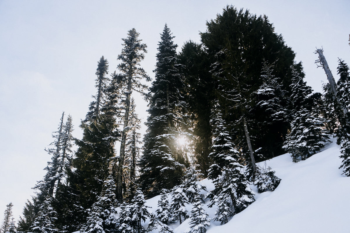 5 Outdoor Winter Activities to Embrace the Cold – Parks Project