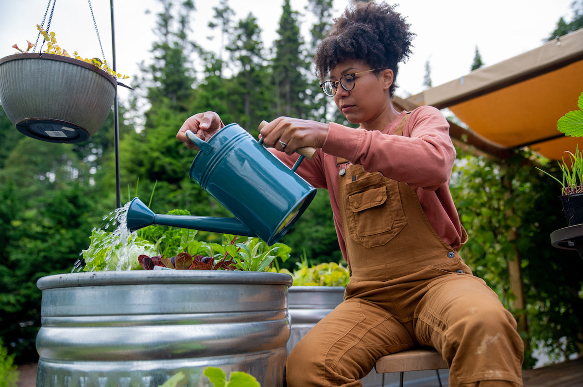 National Parks and Personal Connection: Spotlight on Hillarie Maddox ...