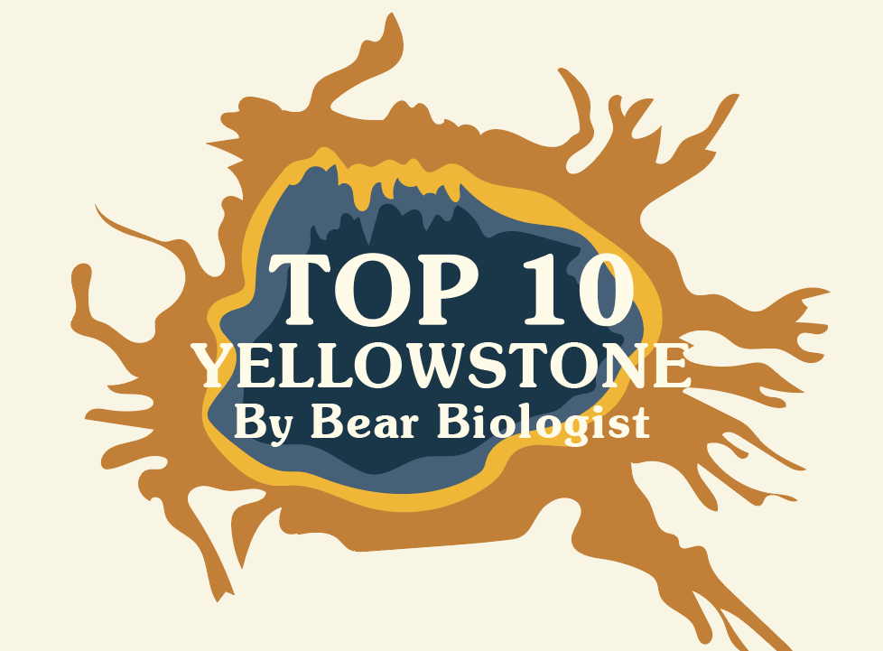 Discover Yellowstone NP's Top Ten Spots to Visit by Wes Larson – Parks ...
