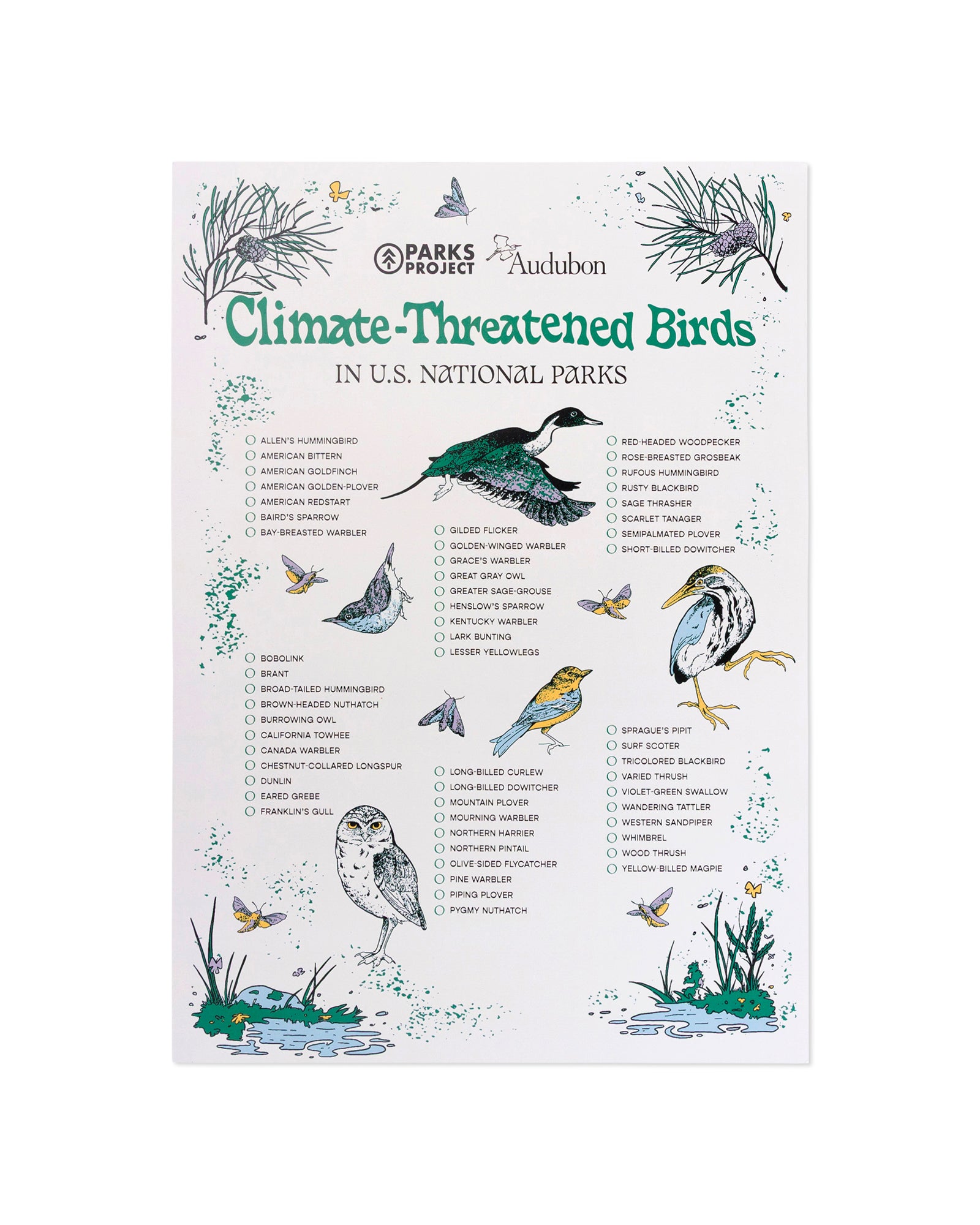 Shop Parks Project x Audubon Bird Checklist Poster Inspired by Parks