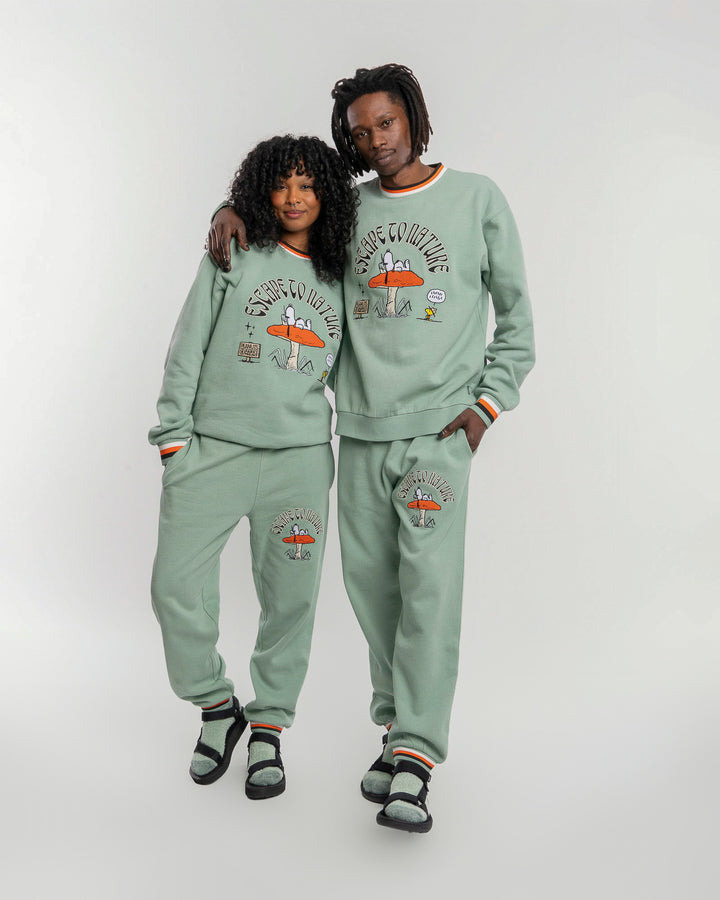 Shop Peanuts x Parks Project Inspired by Peanuts and National Parks