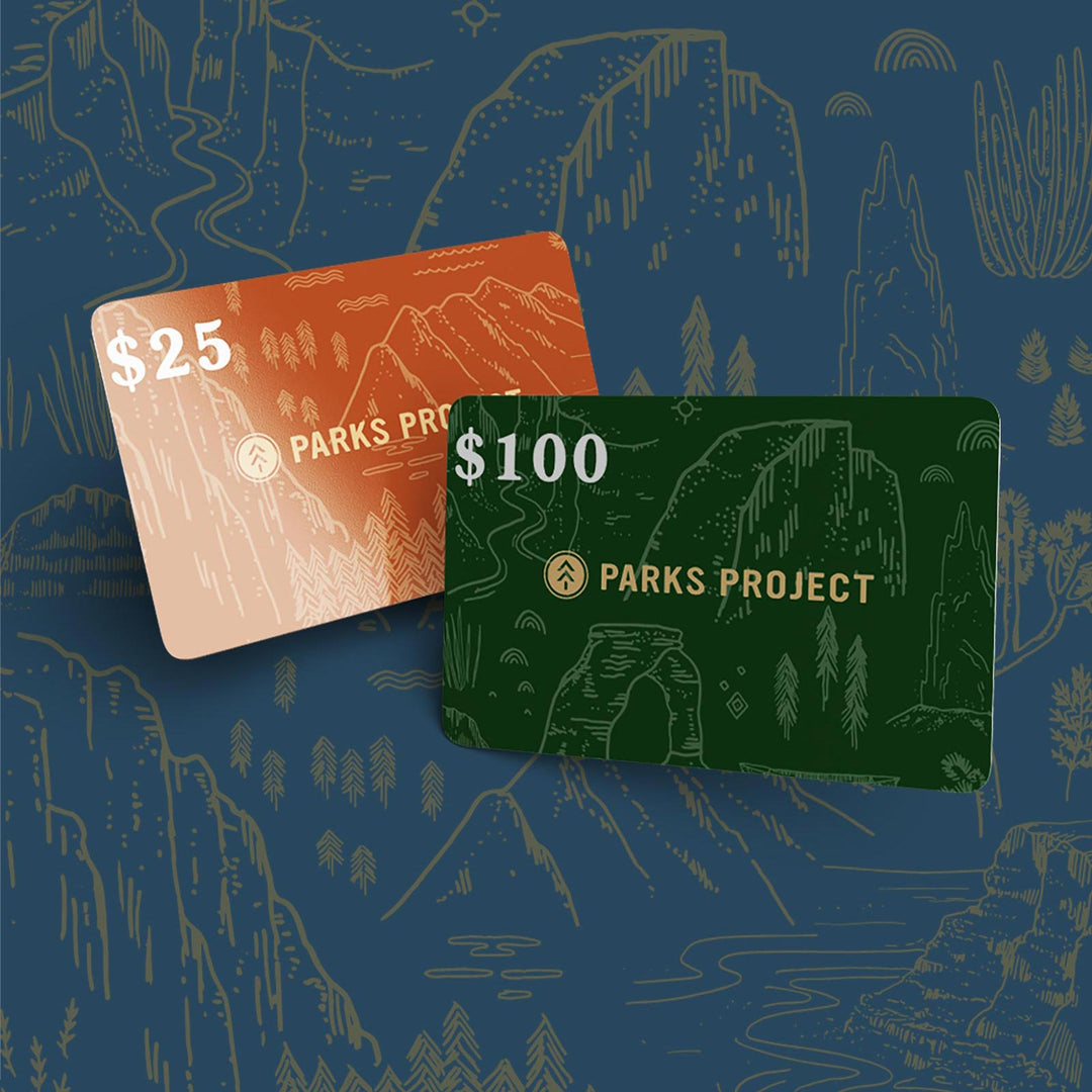 eGift Card for Parks Project
